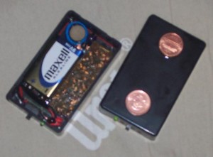 Parasite Cleanse | The Cure Manual